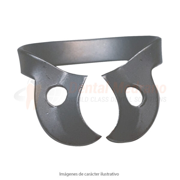 CLAMP W8 s/aleta molar sup horquilla ang – Medis - Dental Medrano